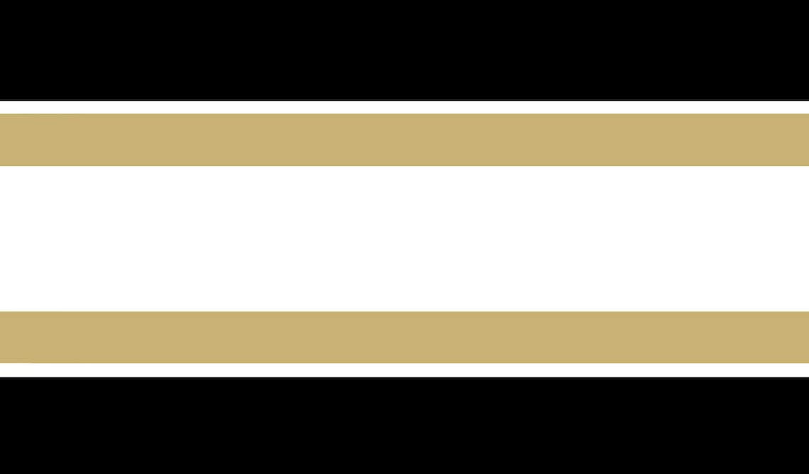 New Orleans Saints NFL Team Wallpaper Border - Etsy