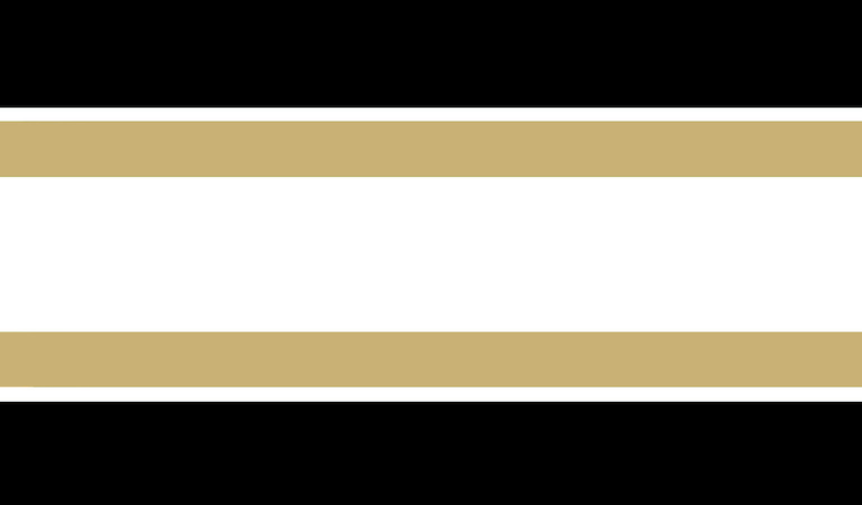 New Orleans Saints NFL Team Wallpaper Border - Etsy