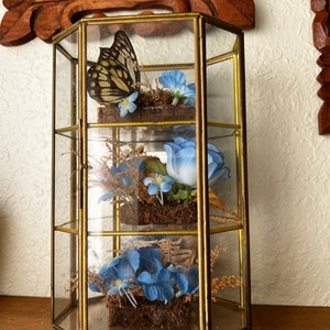 Vintage Mini Curio Cabinet With Butterflies/flowers - Etsy