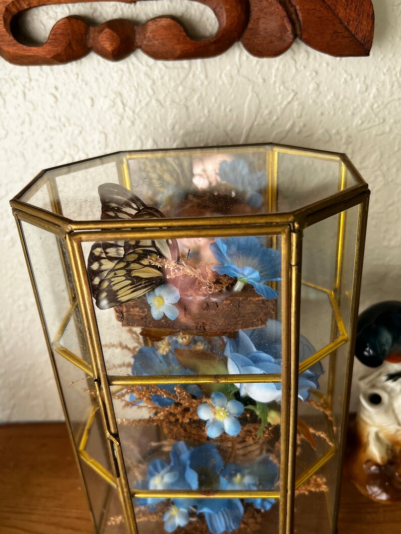 Vintage Mini Curio Cabinet With Butterflies/flowers - Etsy