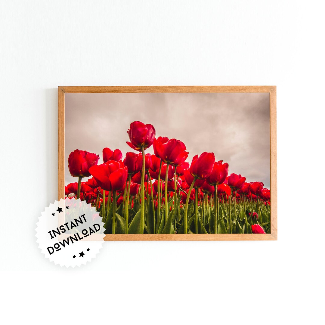 Red Poppy Poster, Poppy Wall Art Print, Poppy Canvas Print, Printable ...