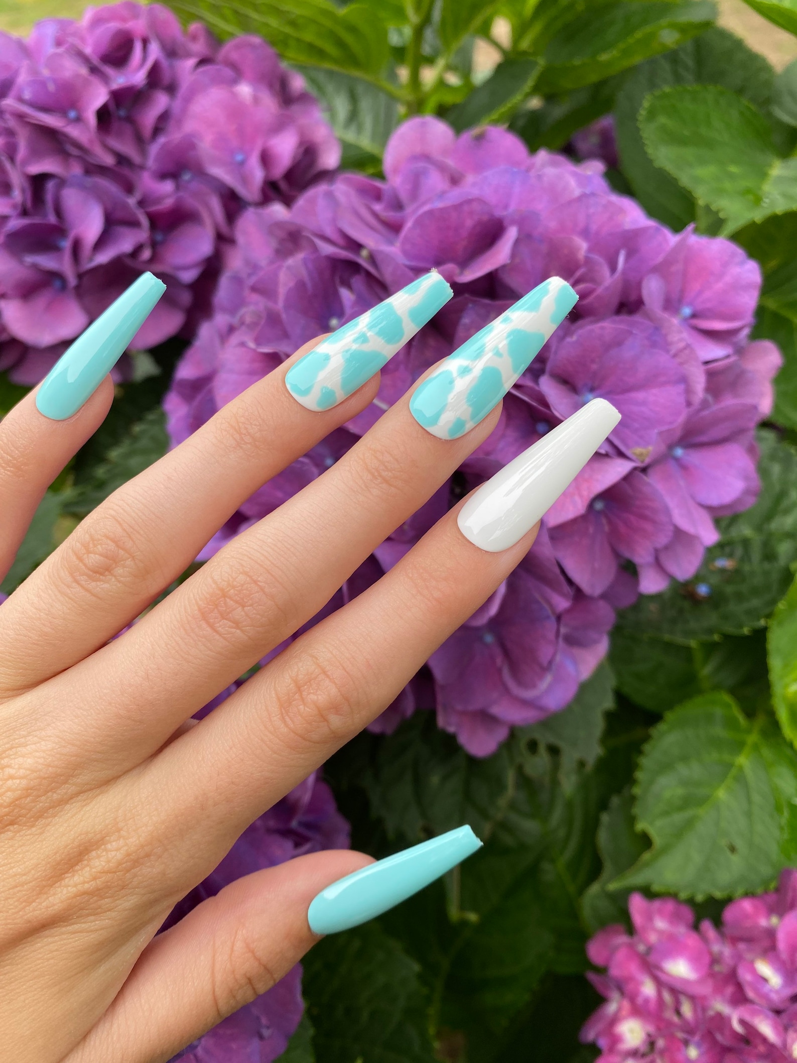 Baby Blue Cow Print Press on Nails - Etsy