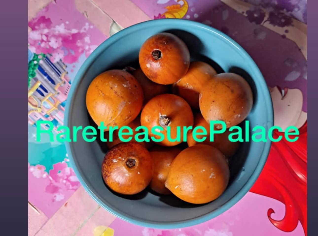 Agbalumo(africa Star Apple) 20pcs in a Pack - Etsy