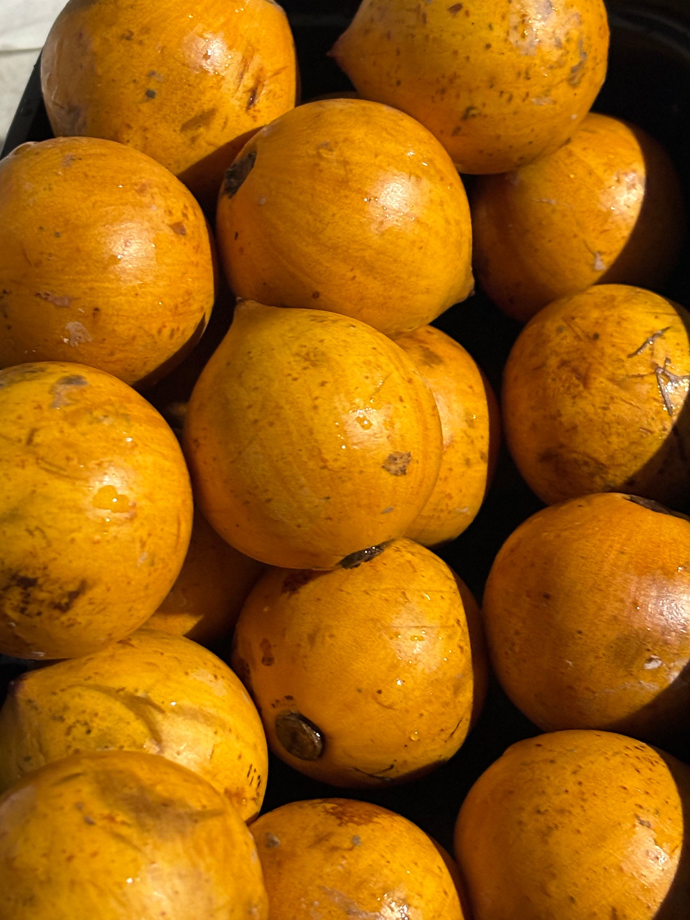 Agbalumo(africa Star Apple) 20pcs in a Pack - Etsy