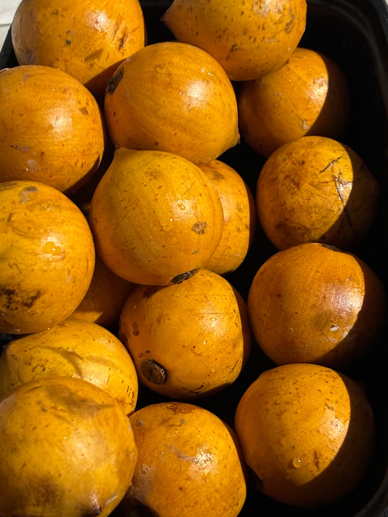 Agbalumo(africa Star Apple) 20pcs in a Pack - Etsy