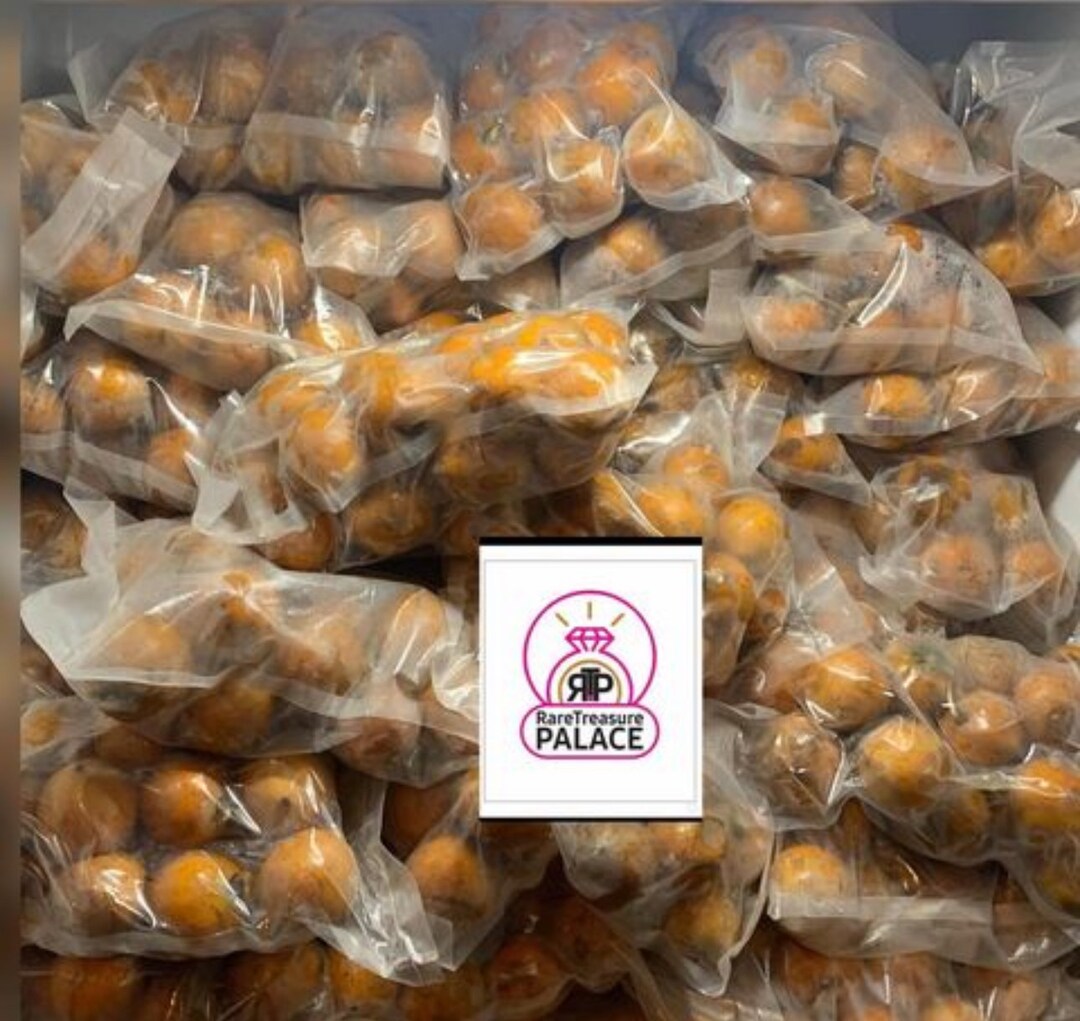 Agbalumo(africa Star Apple) 20pcs in a Pack - Etsy