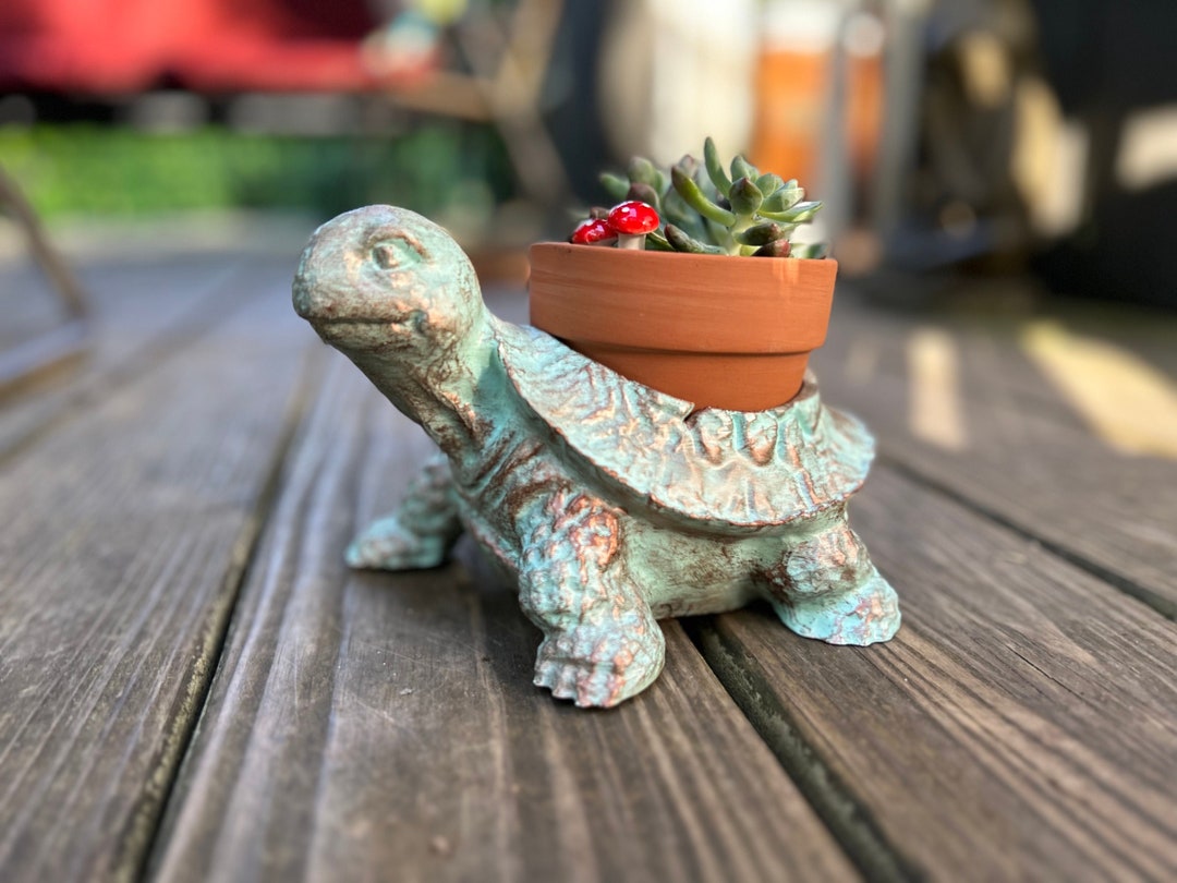Designer Succulent- Cacti Planter - Handcrafted Turtle Planter Pot ...