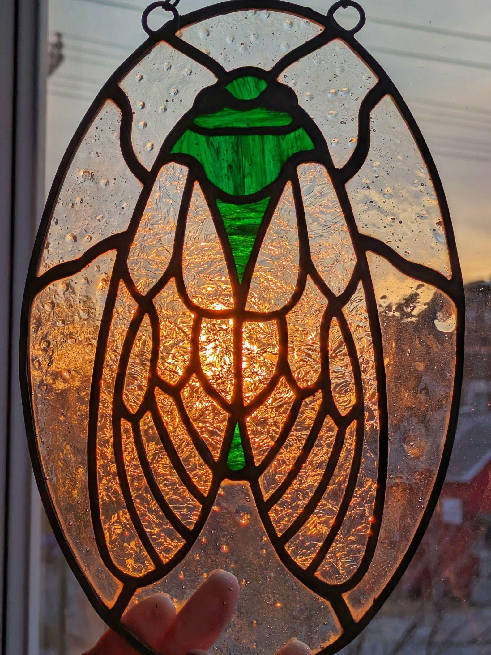 Stained Glass Cicada Pattern/template for Instant Digital Download -png ...