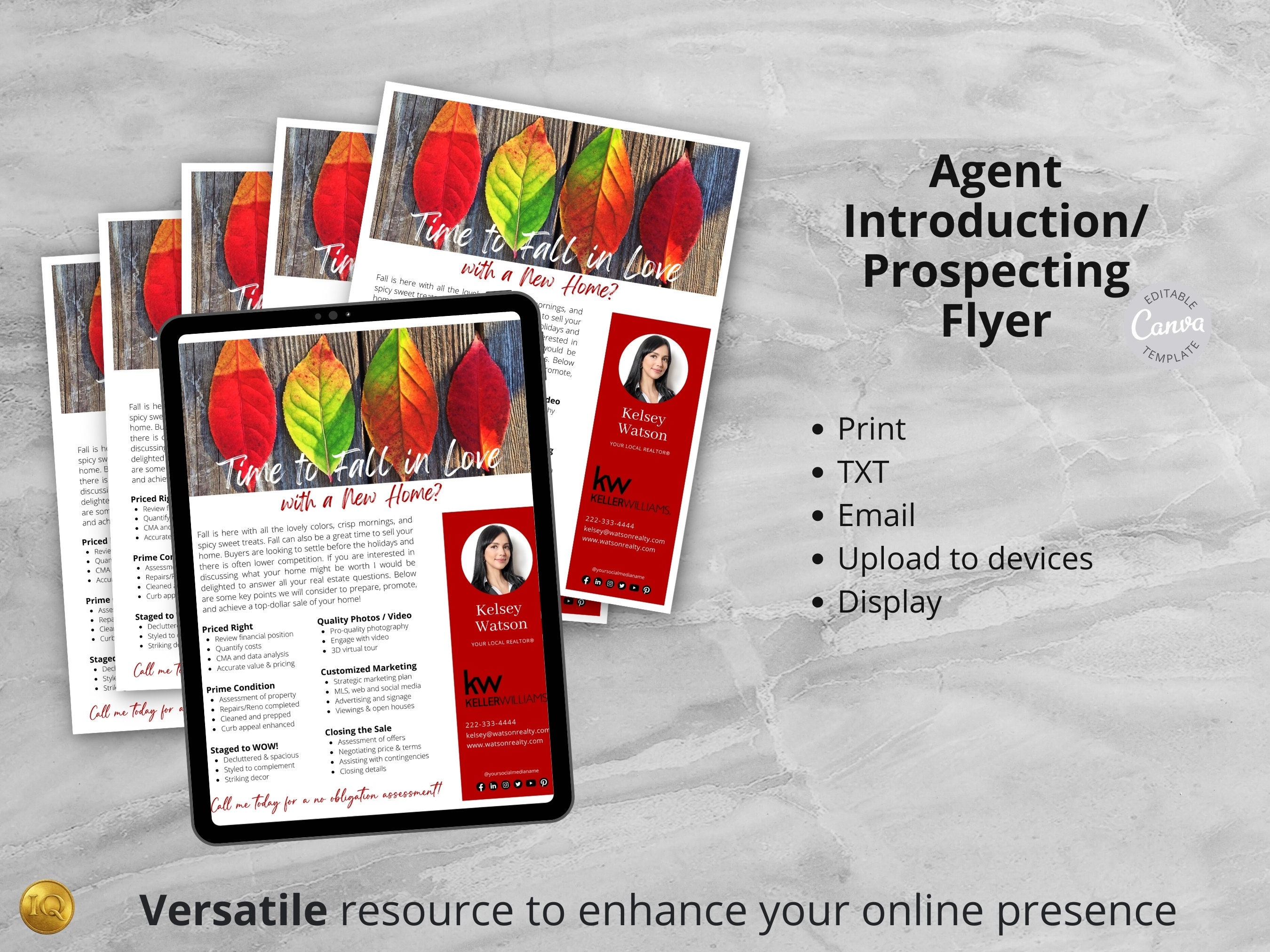 Real Estate Flyer Template Bundle, 4 Fall Flyers, Realtor Introduction ...