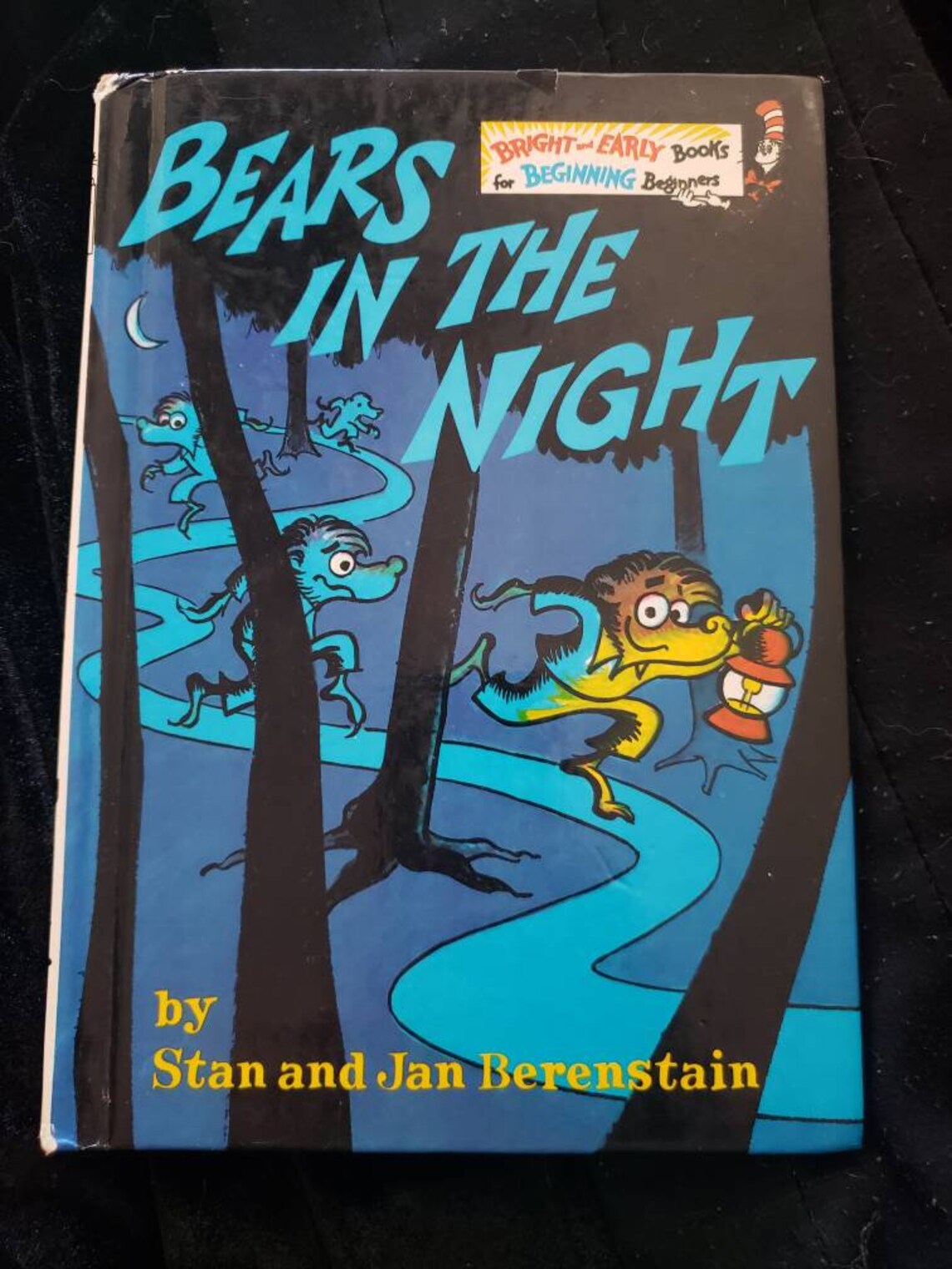 Vintage 1971 Bernstein bears classic BEARS IN the NIGHT dr | Etsy