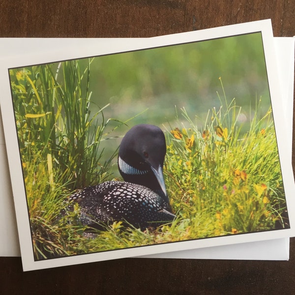 Loon Photo - Etsy