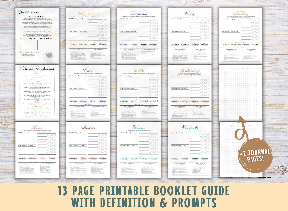 DBT Emotion Regulation Daily Planner & Guide Dialectical - Etsy