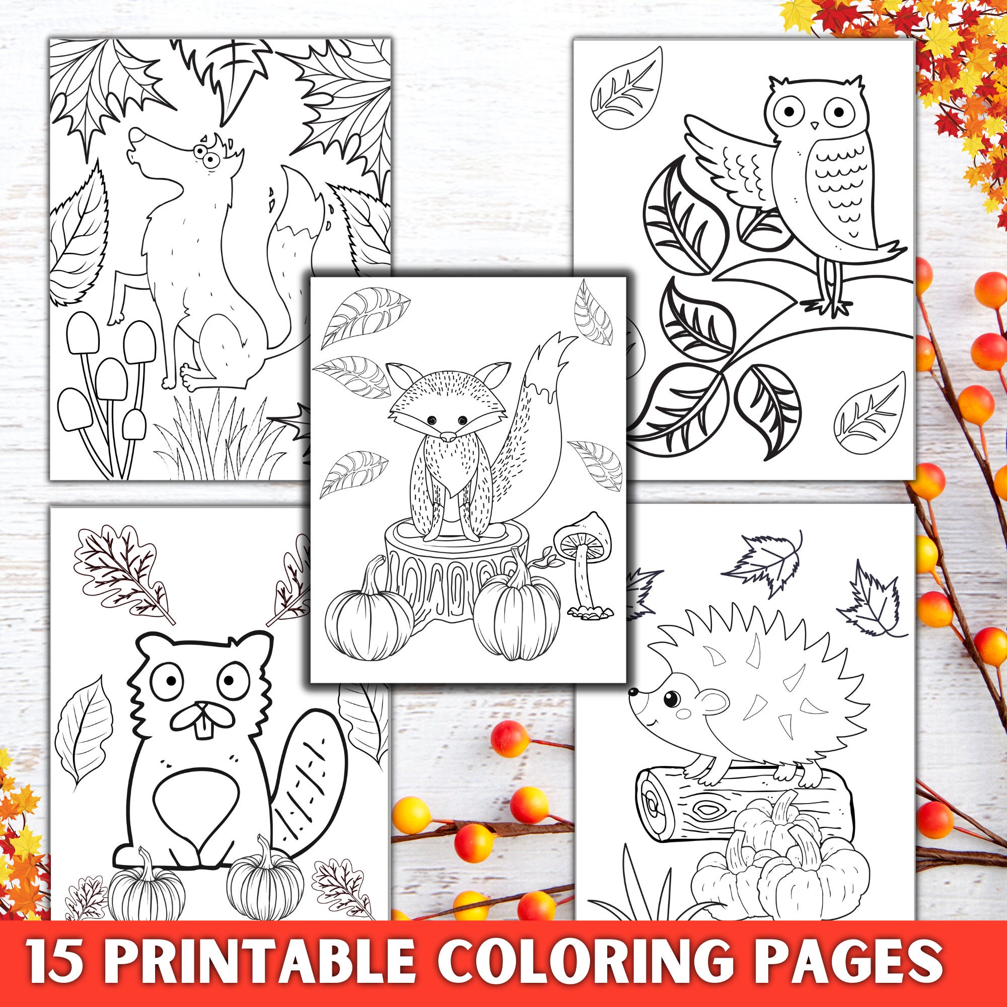 Fall Coloring Pages, Autumn Coloring Book for Kids, Thanksgiving, PDF ...