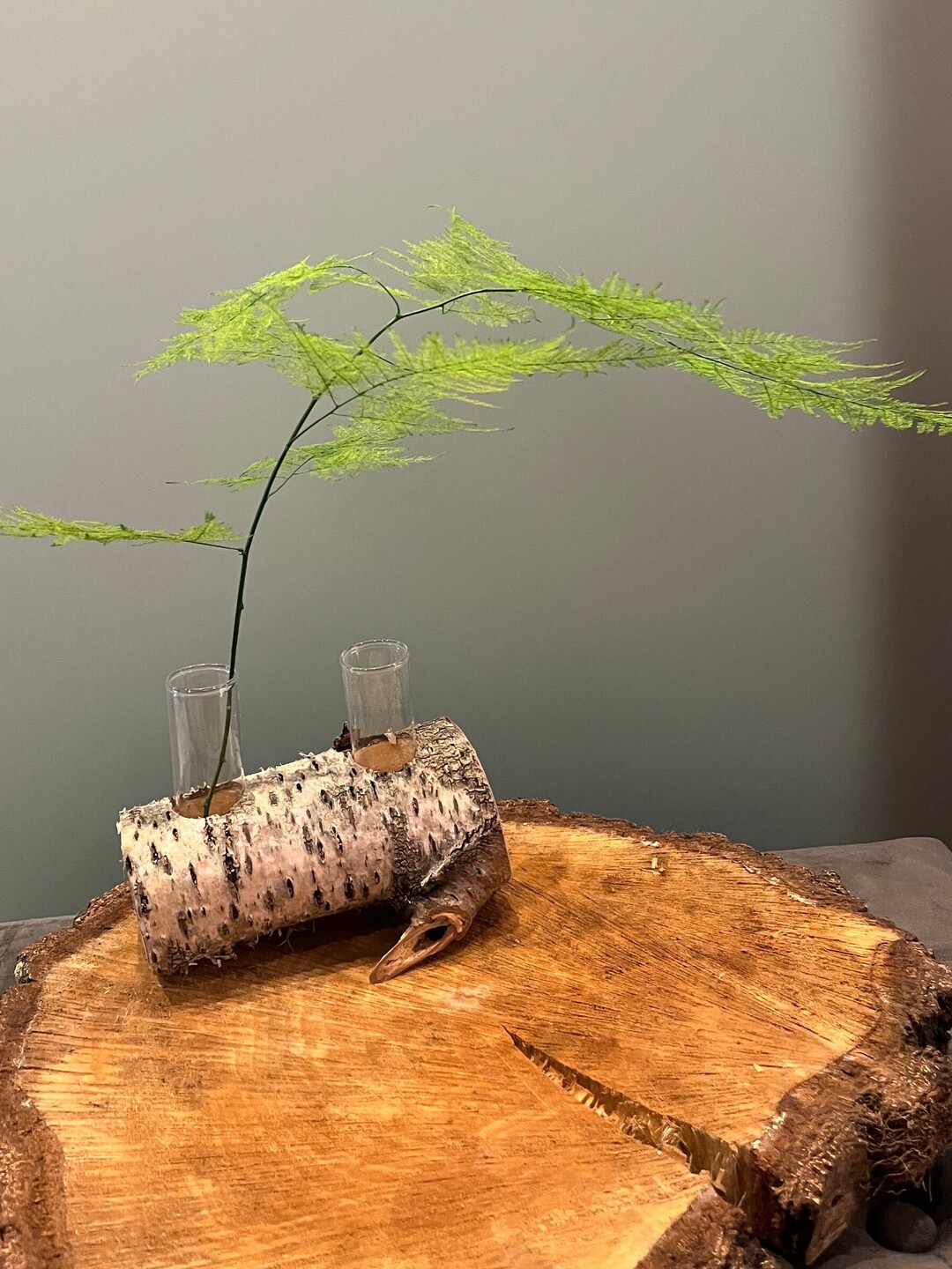 Birch Wood Vase /2 Test Tubes/natural Product/long Durability/all ...