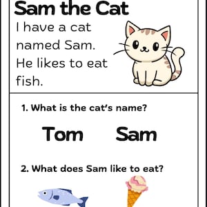 Reading Comprehension Worksheet (sam the Cat) - Etsy