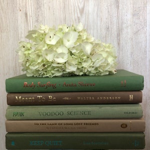 Green Book Stack White Book Bundle Books by Color Books for - Etsy UK