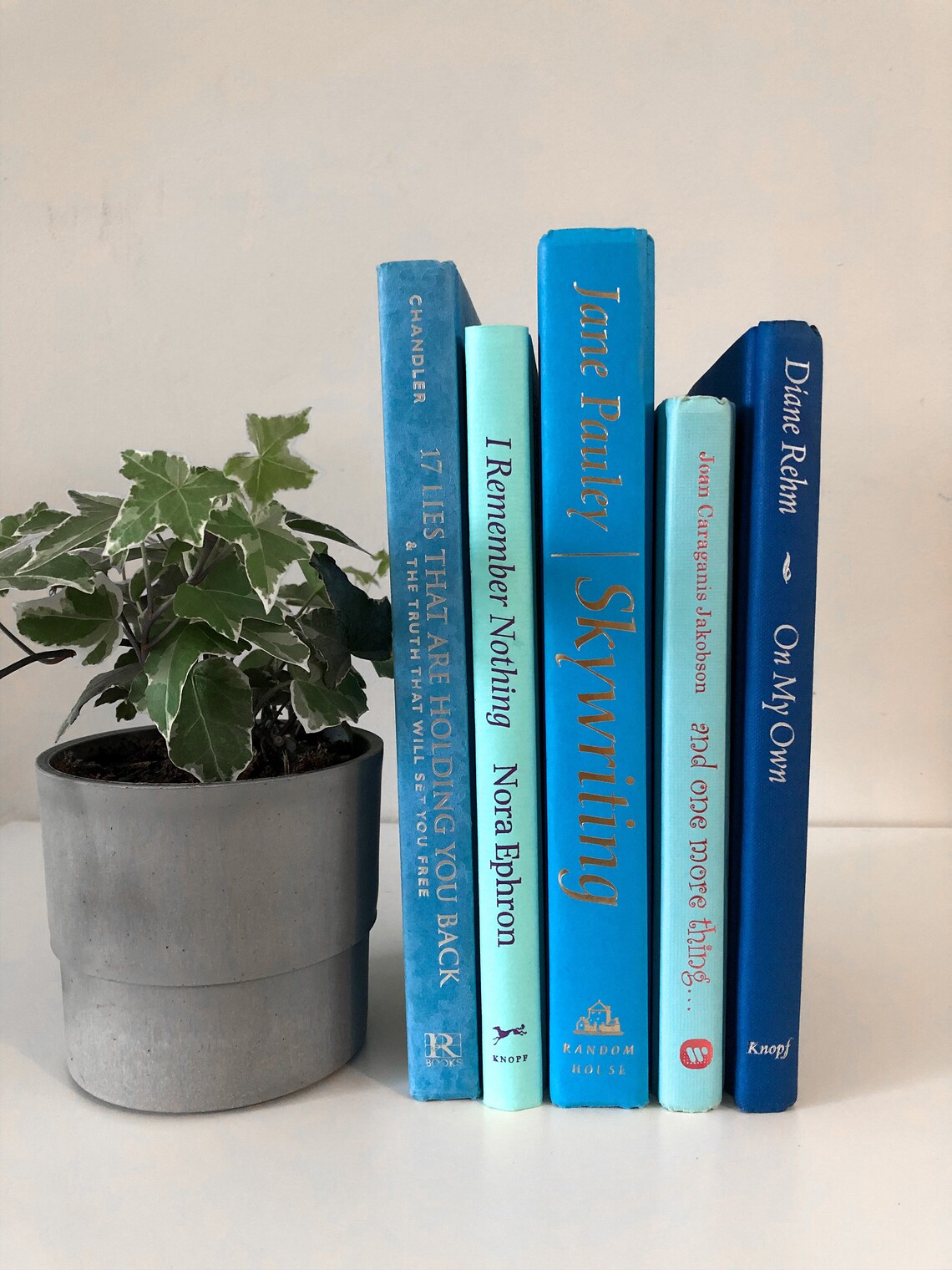 Bundle of Blue Books Blue Book Stack Blue Book Set Bundle - Etsy