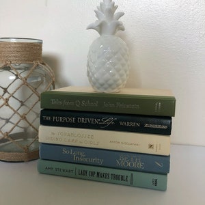 Bookshelf Decoration, Blue Books for Styling, Book Stack Decor, Book ...