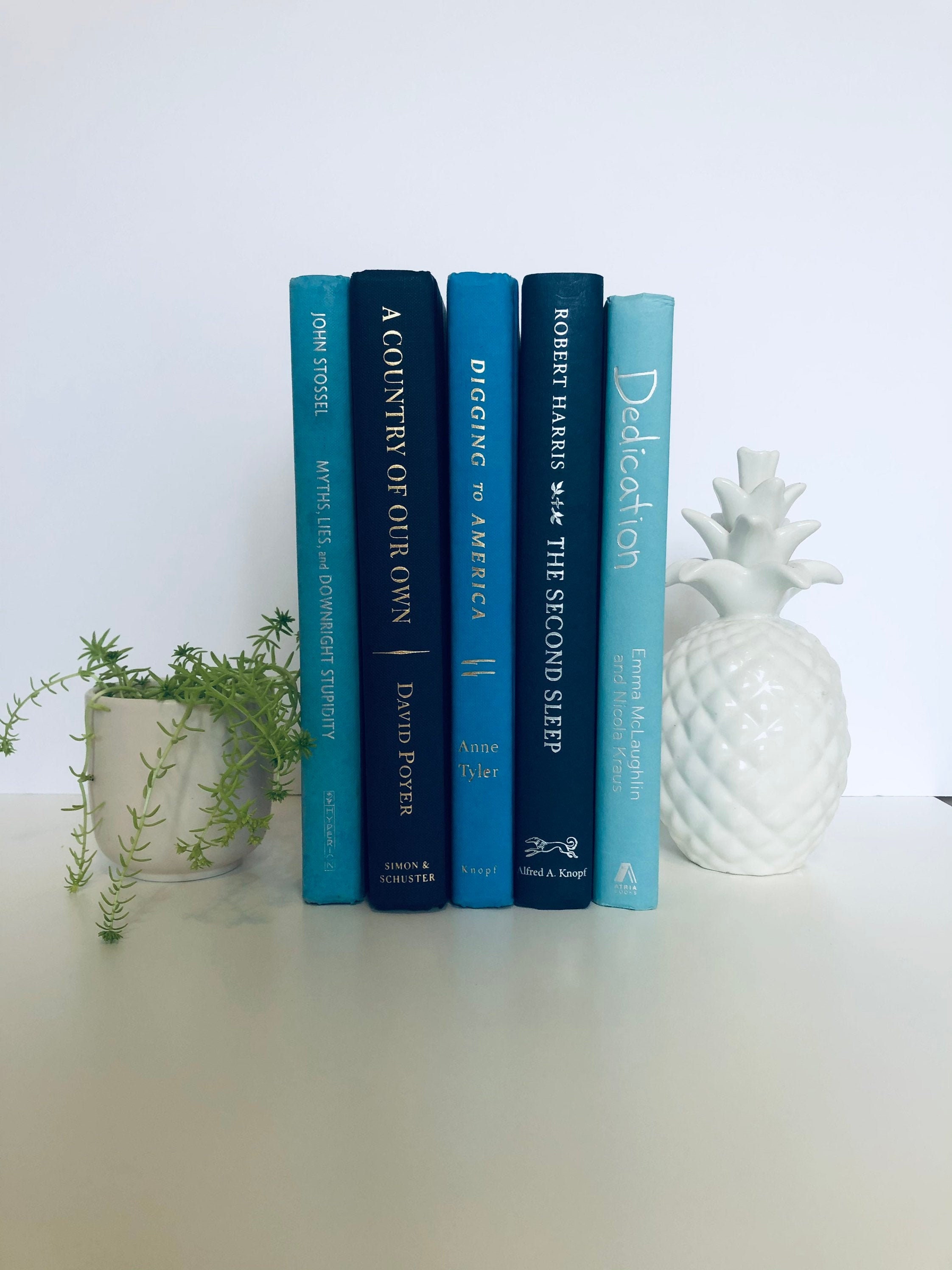 Bundle of Blue Books Blue Book Stack Blue Book Set Bundle | Etsy