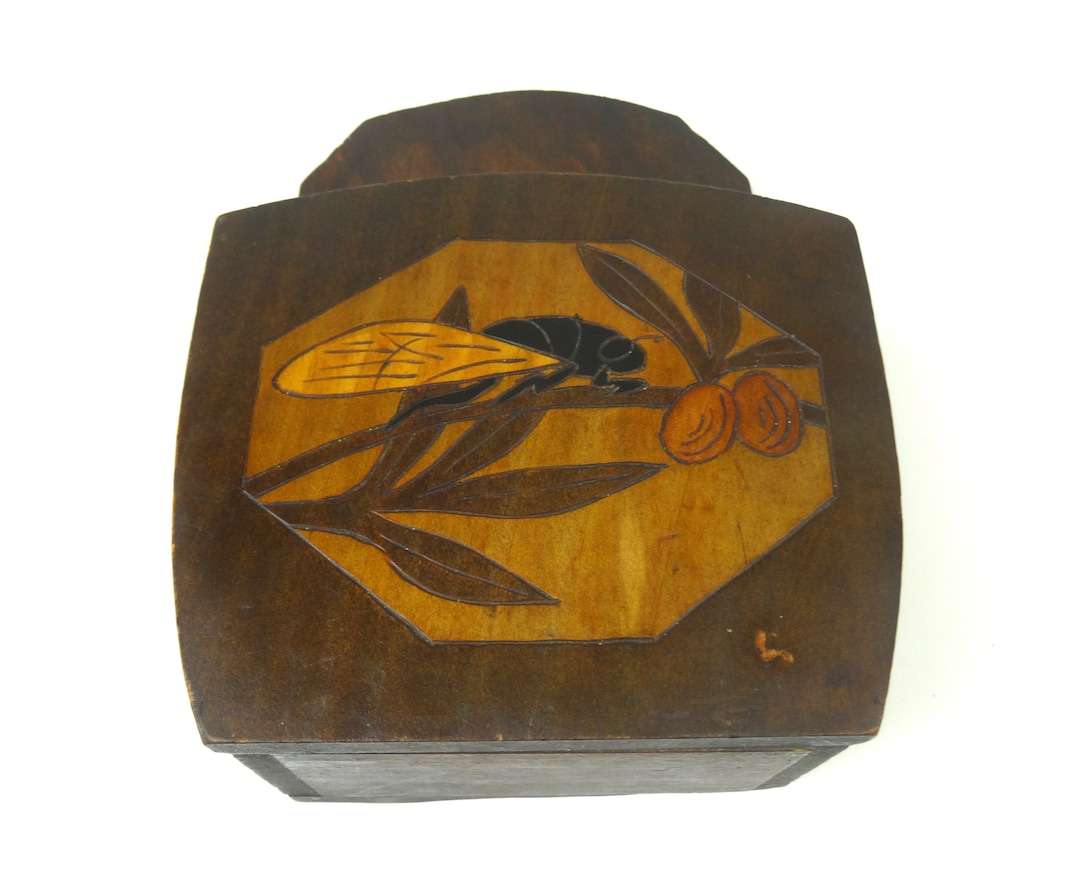 Rare Original Art Deco Art Nouveau Antique Insect Wall Storage Box - Etsy