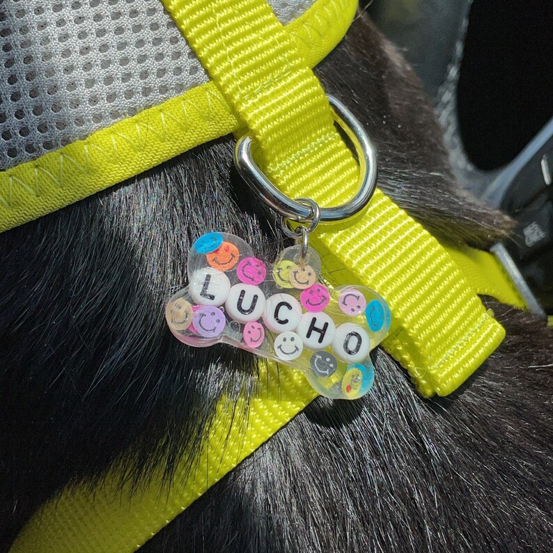 Cute Dog Tag, Acrylic Epoxy Handmade , Cute Gift , Beautiful Outfit ...