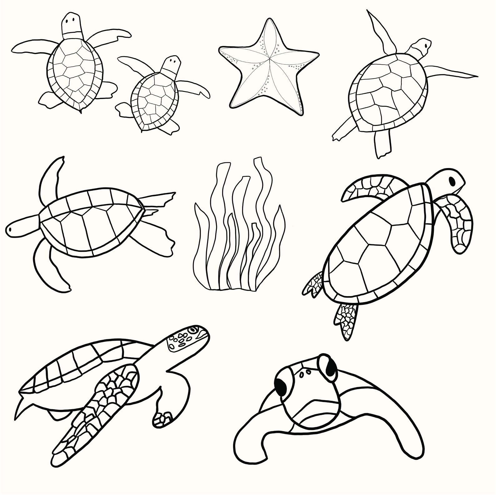 Sea Turtles Doodles, Sea Animals Clipart, Turtle Black and White Image ...