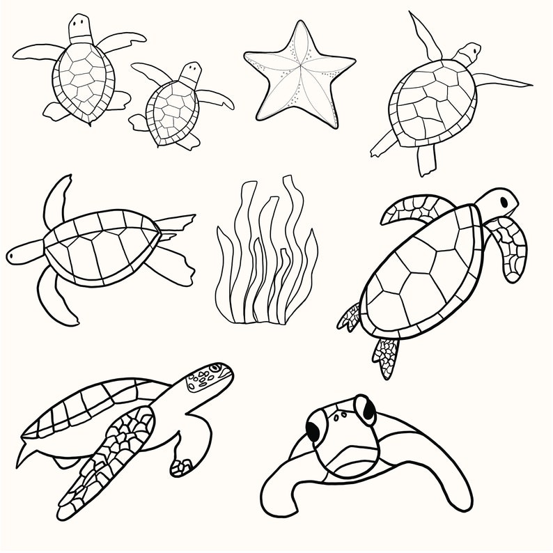Sea Turtles Doodles, Sea Animals Clipart, Turtle Black and White Image ...