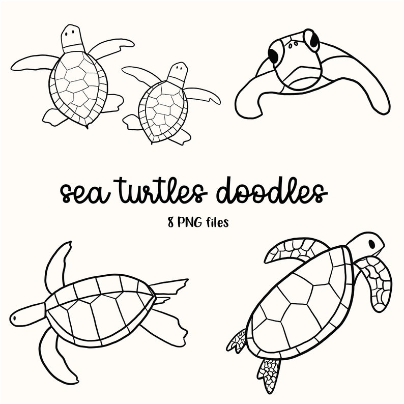 Sea Turtles Doodles, Sea Animals Clipart, Turtle Black and White Image ...