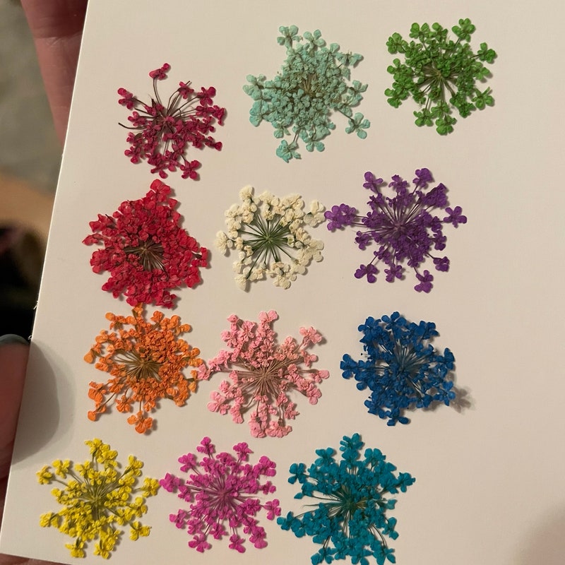 Tiny Dried Flower Art - Etsy UK