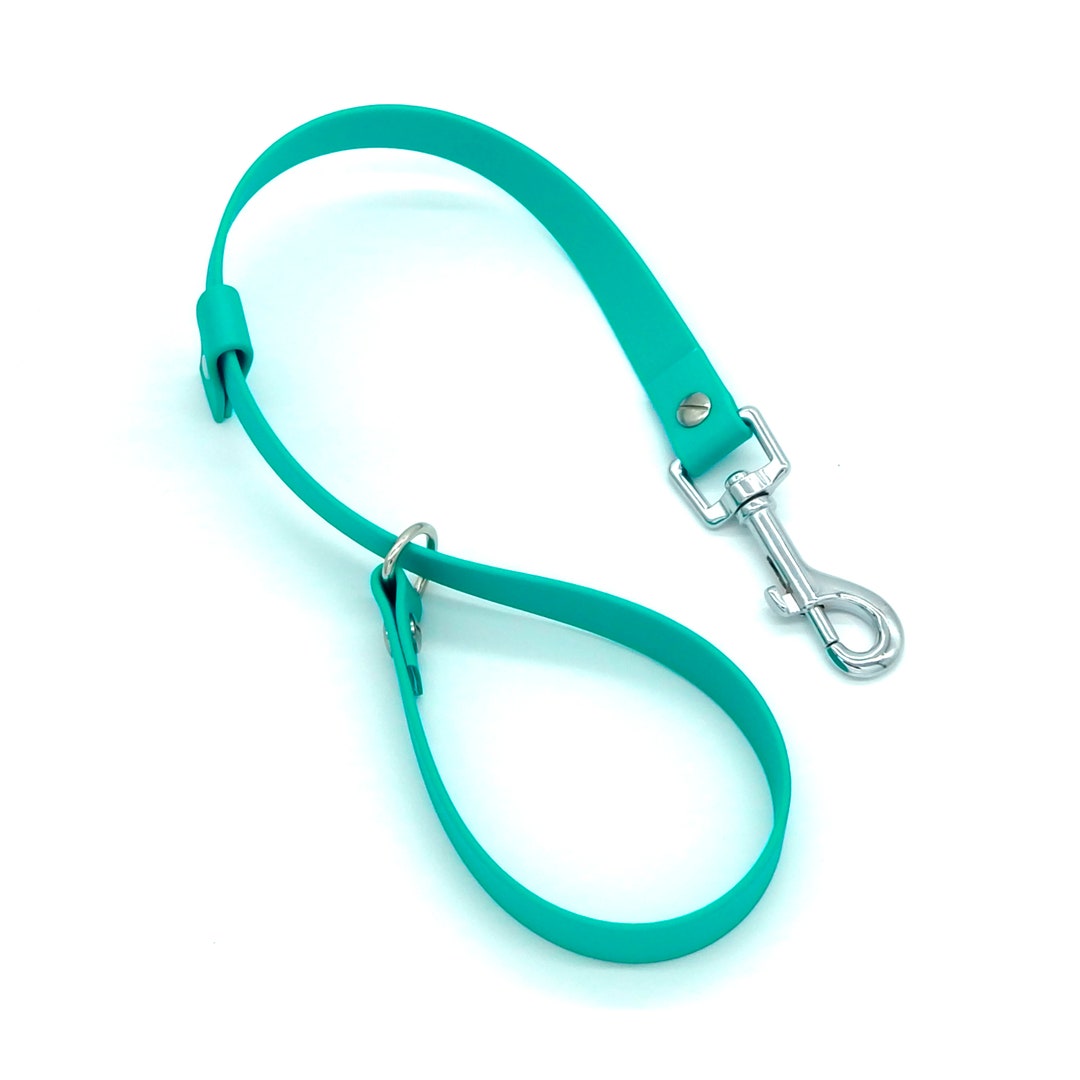 Teal Biothane® Waterproof Grooming Noose - Etsy