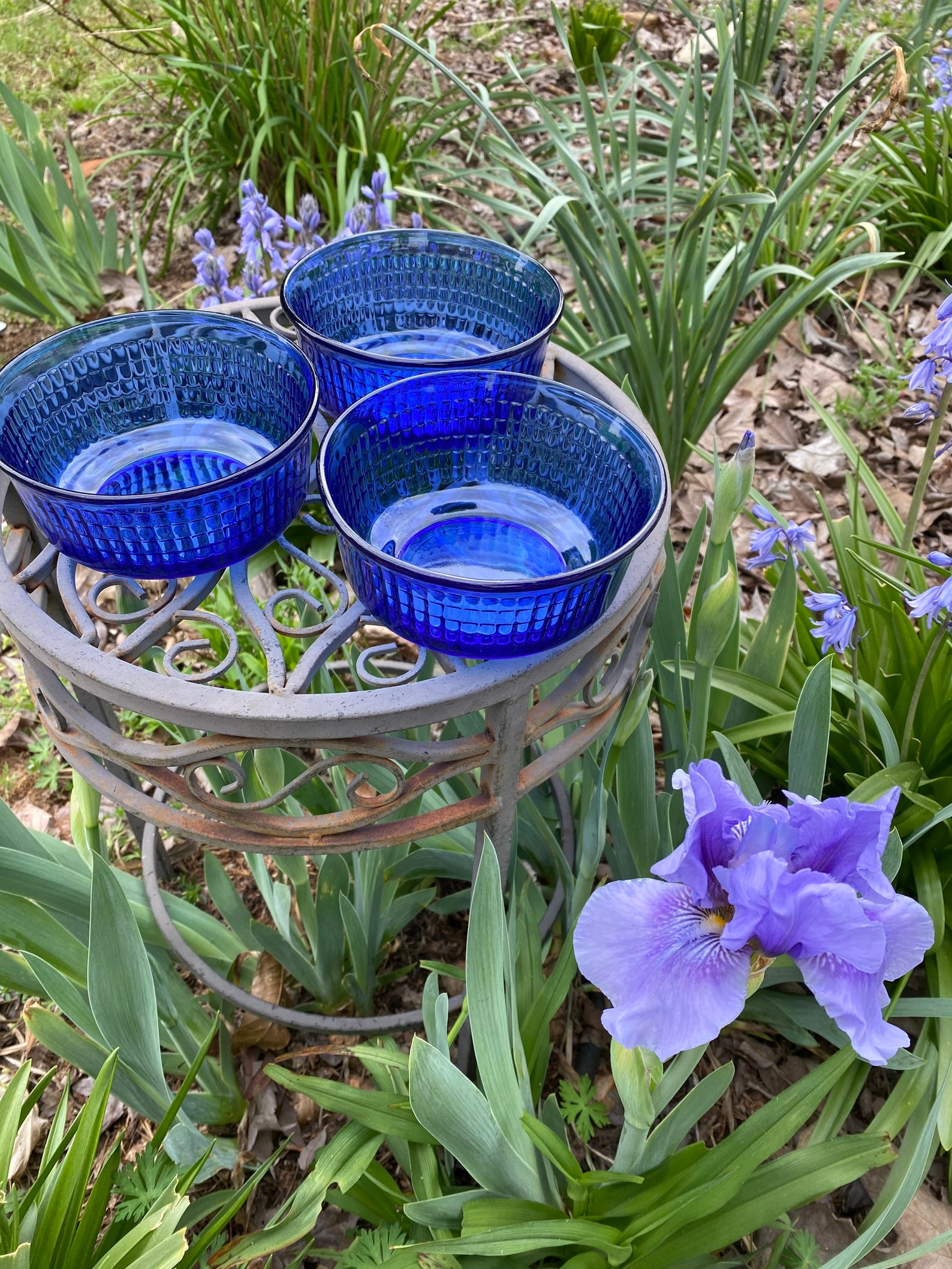 Forte Crisa Cobalt Blue Round Textured Cereal Bowls 5 Inch X - Etsy