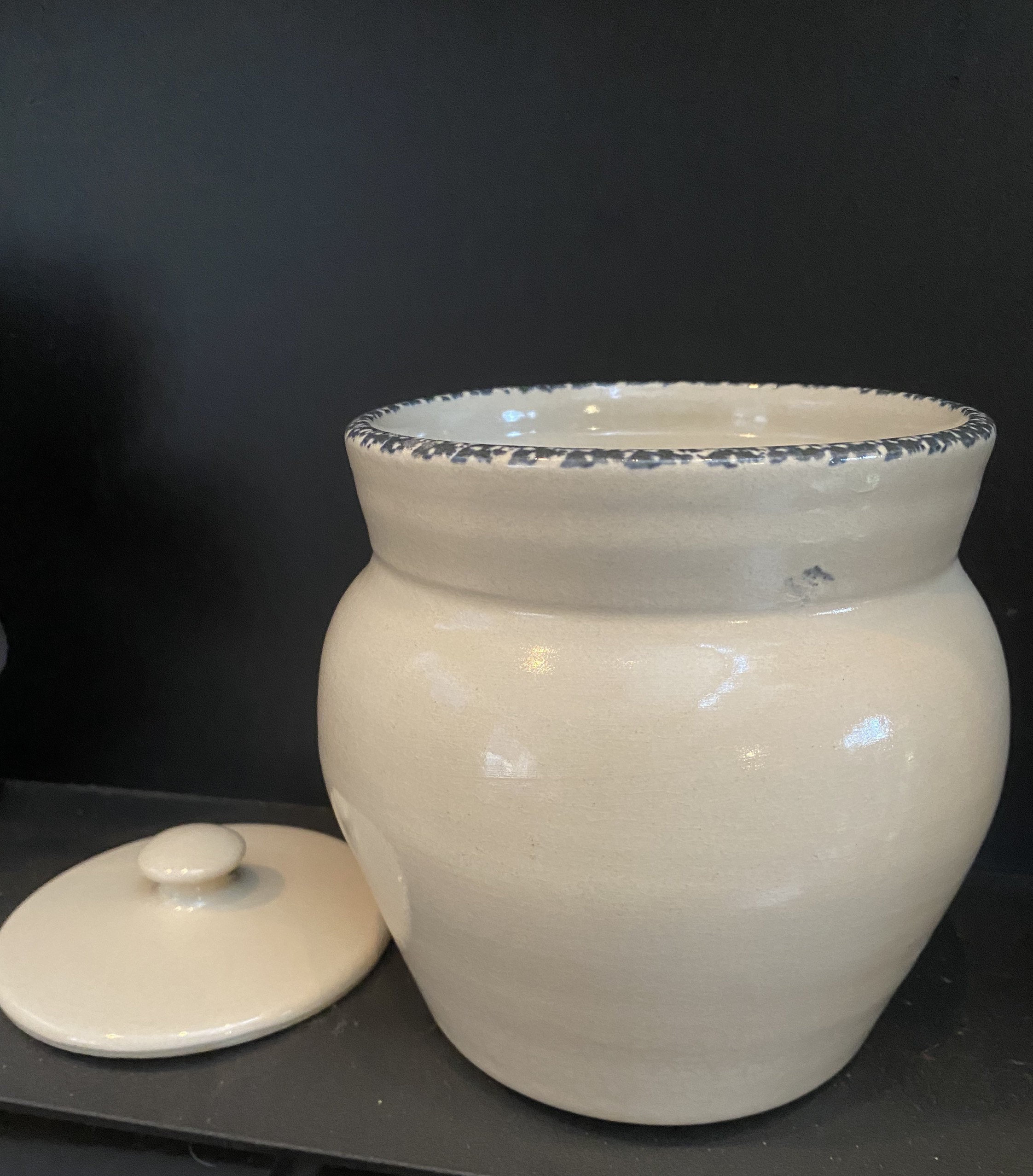 Birdhouse Canister Casey Pottery Canister Small Blue Sponge - Etsy