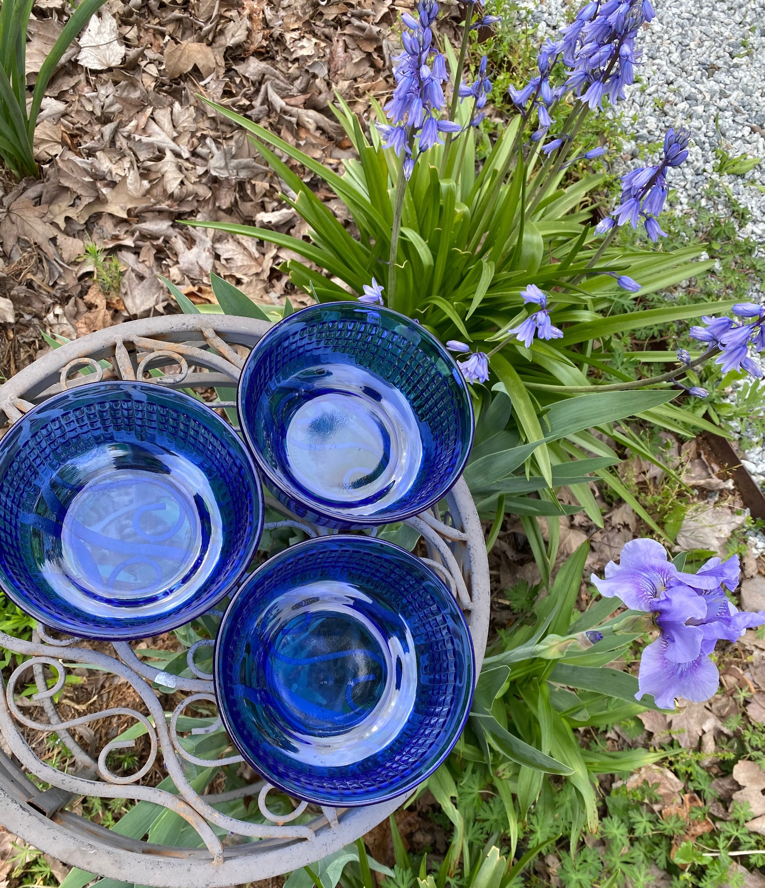 Forte Crisa Cobalt Blue Round Textured Cereal Bowls 5 Inch X - Etsy