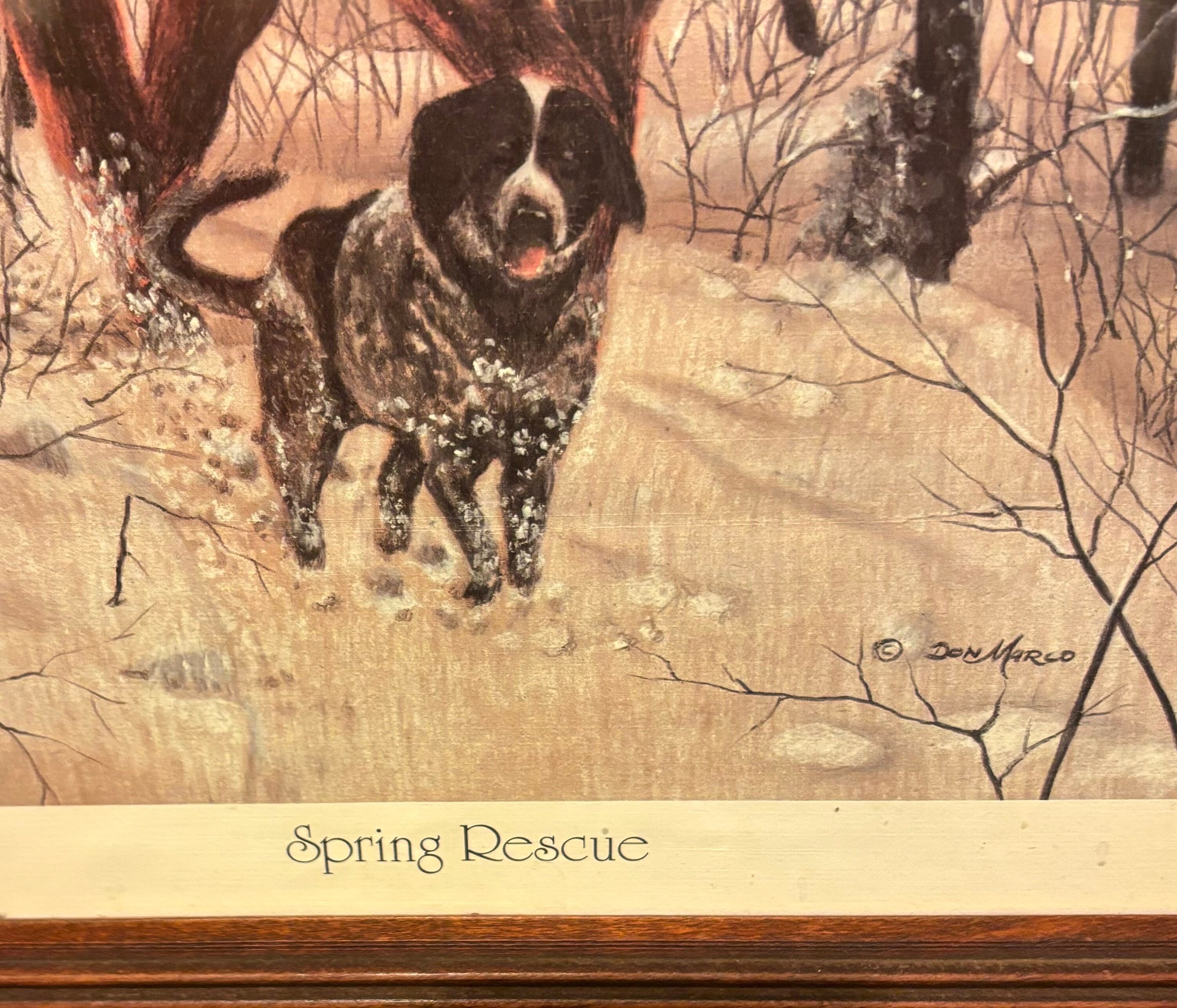 Framed Dan Marco Spring Rescue Print Cowboy Saving Baby Calf on ...