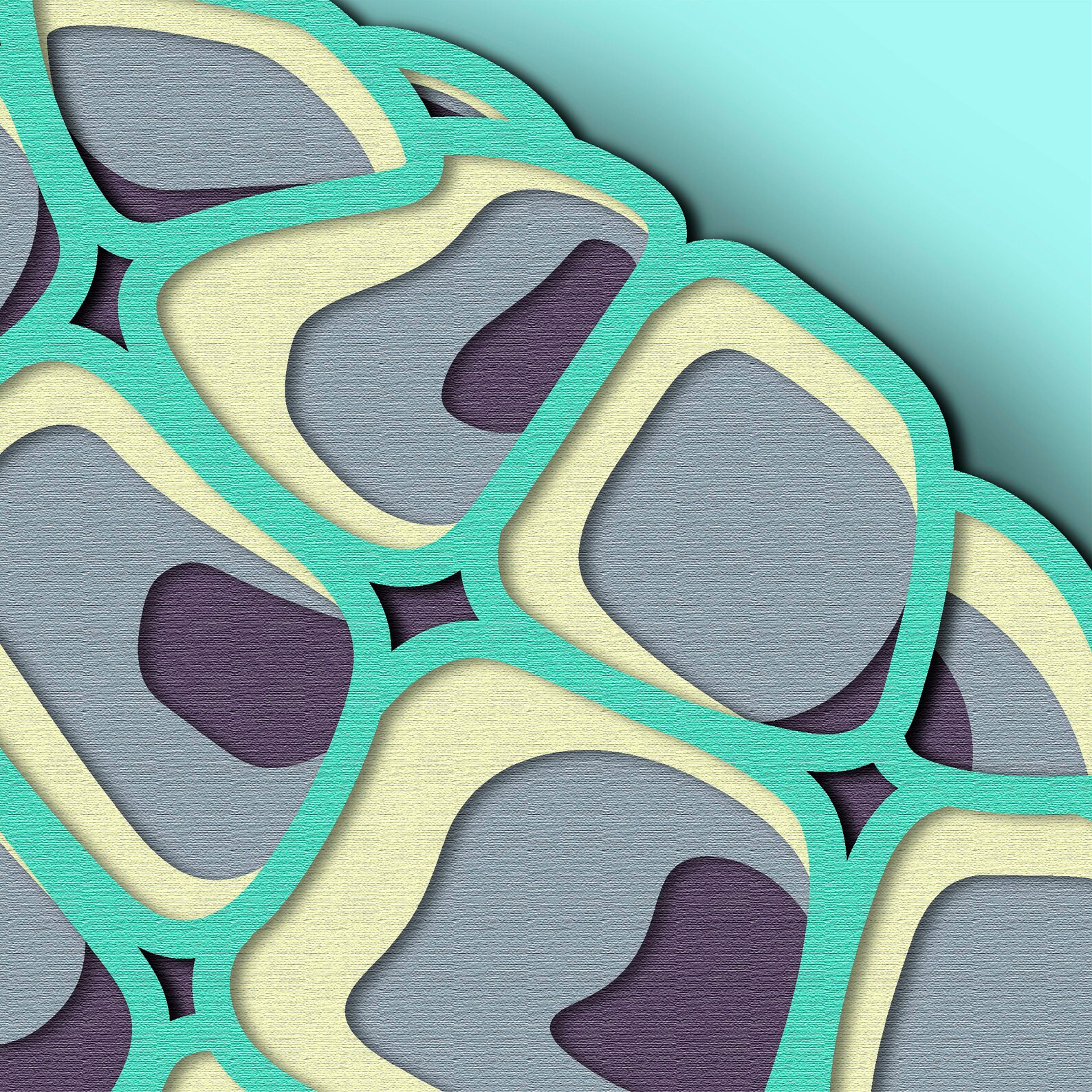 Turtle 3D Layer SVG/ Turtle 3D Cricut/ Turtle Paper Cut/ - Etsy