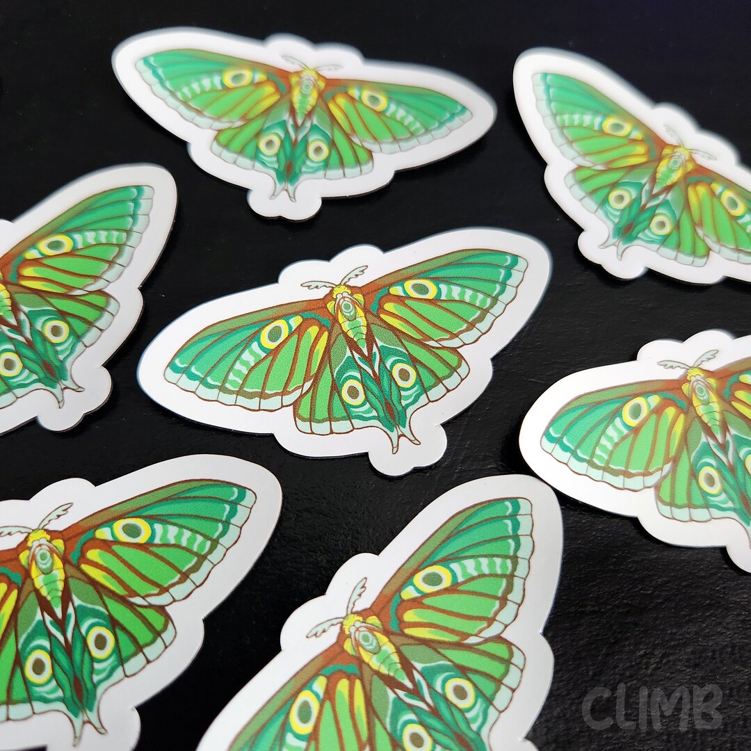 Moth Magnets Vinyl Fridge Magnets, Cottagecore, 2 Magnets, Moth Decor ...