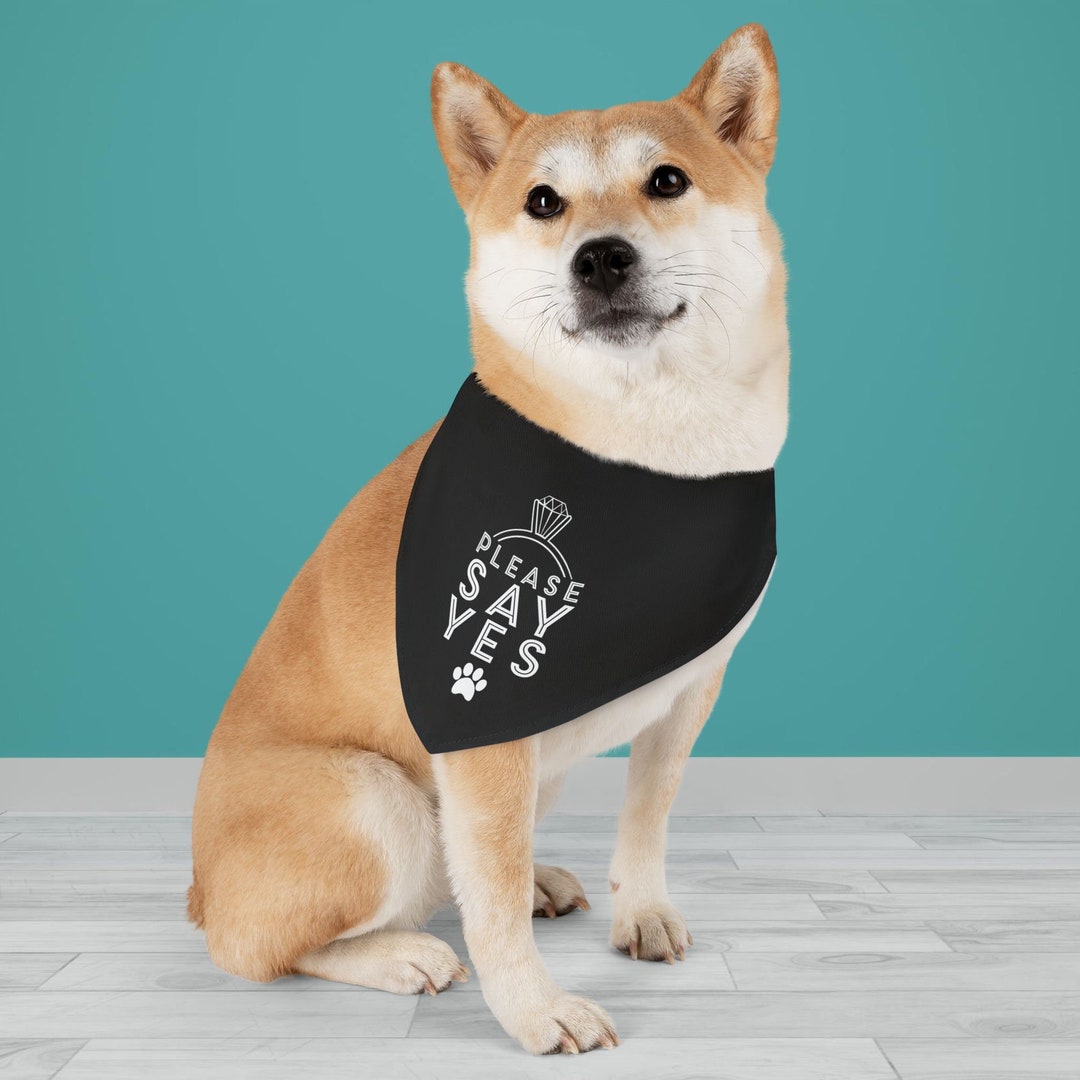 Pet Proposal Collar | Dog Proposal Bandana in Black | Please Say Yes ...