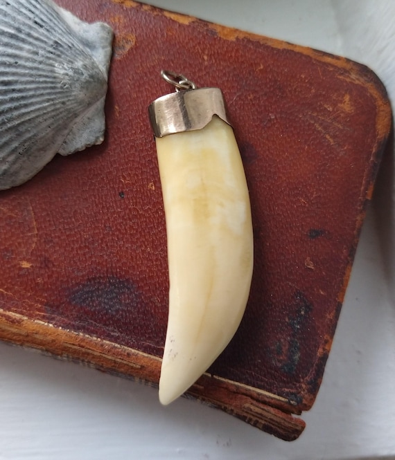 Antique Victorian 9ct rose gold tooth charm pendant, … - Gem