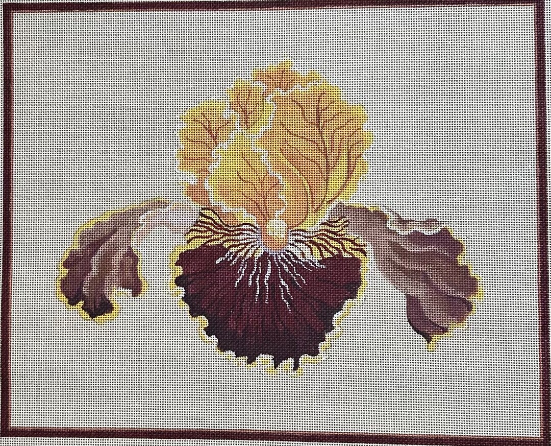 Yellow & Magenta Iris, Kathryn Molineux - Etsy