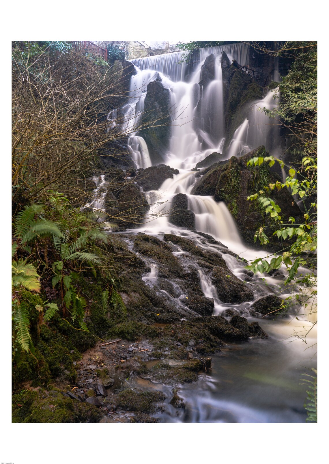 Waterfall at Crawfordsburn Country Park - Etsy