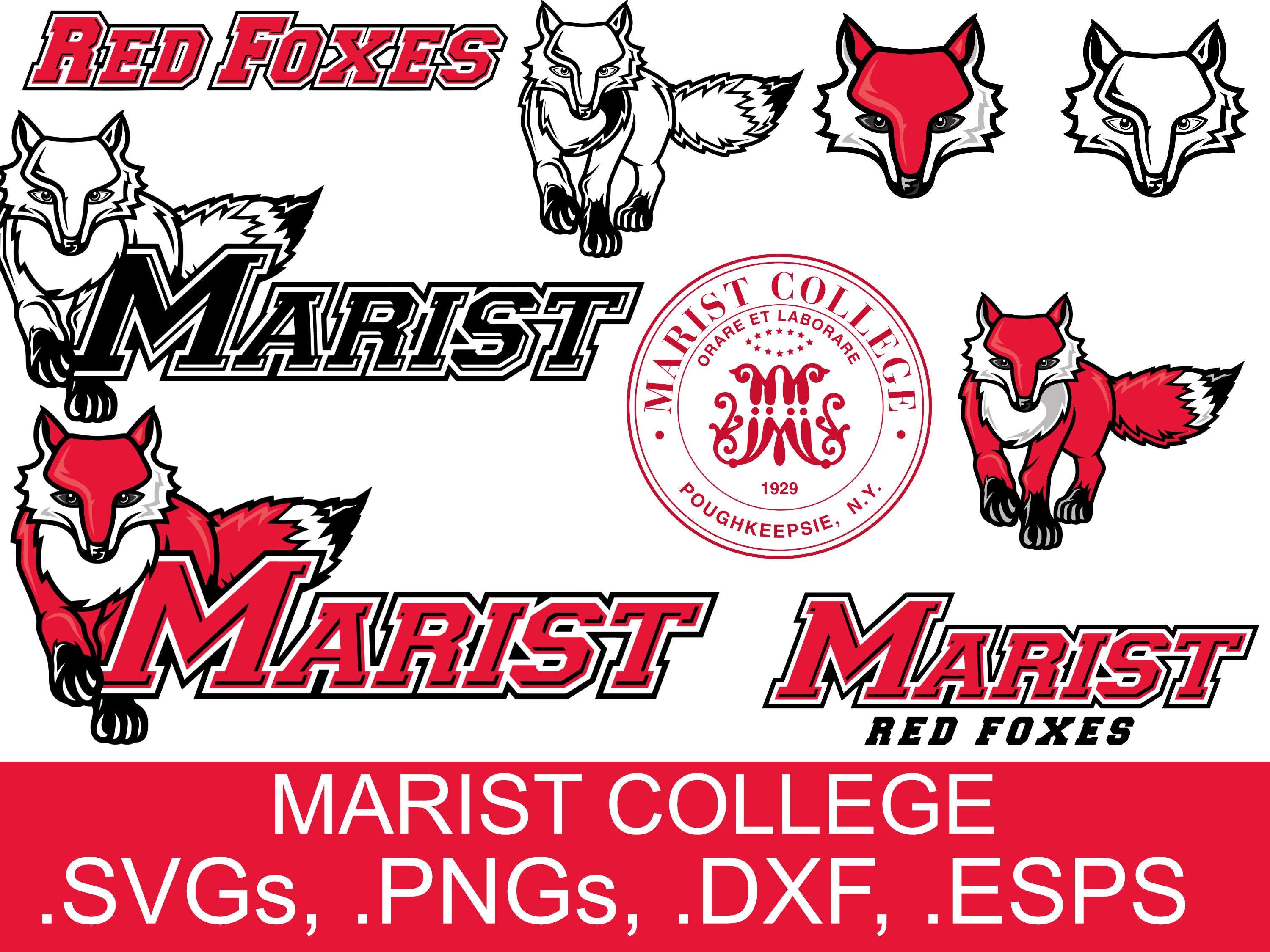 Marist Red Foxes Logo Digital File (SVG Cutting File Pdf Png Dxf ... Marist Red Foxes Logo Digital File (SVG Cutting File Pdf Png Dxf ...