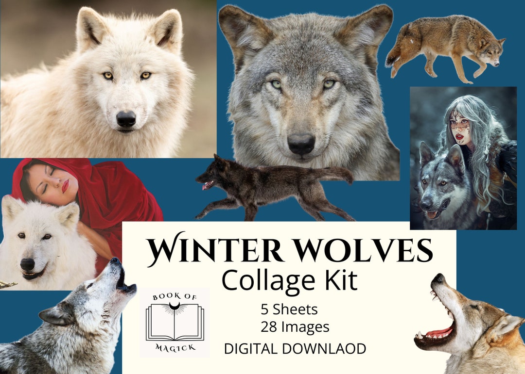 Winter Wolves, Digital Download, Collage Sheets, Wolf Images for ...