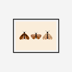 Retro Moth Varieties Print | Botanical Print, Cute Plant Art, Colourful ...
