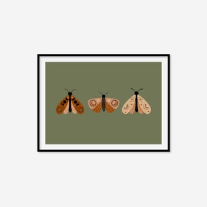 Retro Moth Varieties Print | Botanical Print, Cute Plant Art, Colourful ...