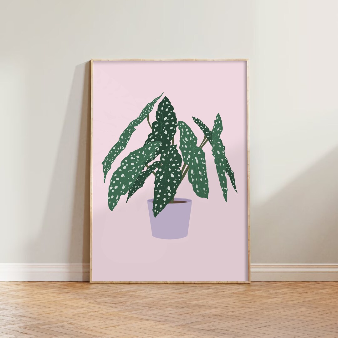 Spotted Begonia Print | Houseplant Print, Begonia Maculata, Colourful ...