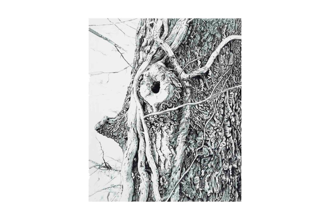 Tree Drawing Print, Nature Drawing, Tree Art - Etsy