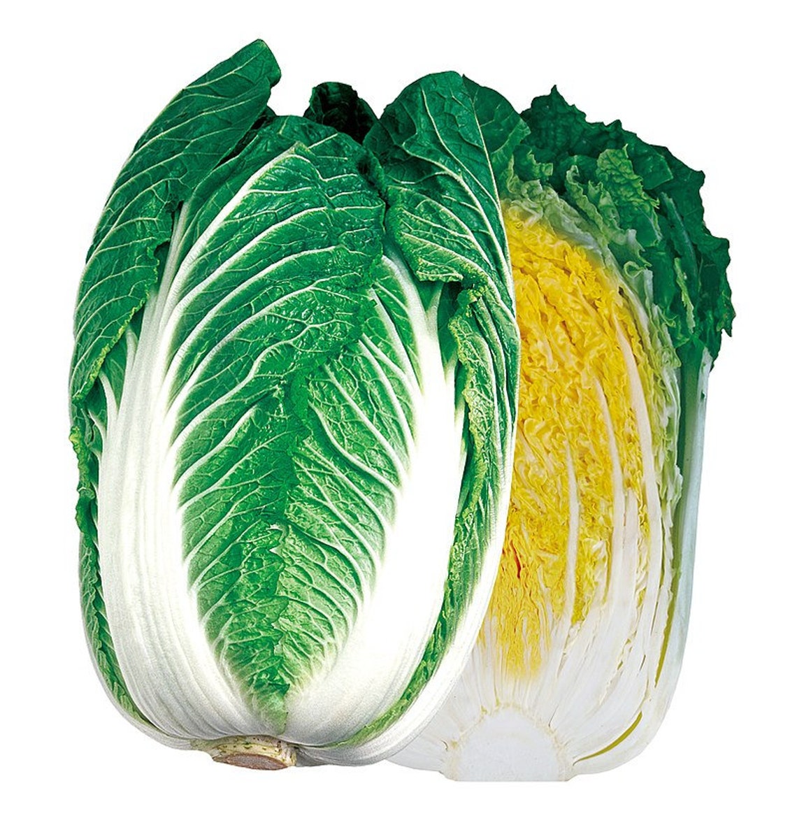 25 Graines de Chou Chinois Pe-Tsaï, Pe-tsaï, chou chinois, chou de ...
