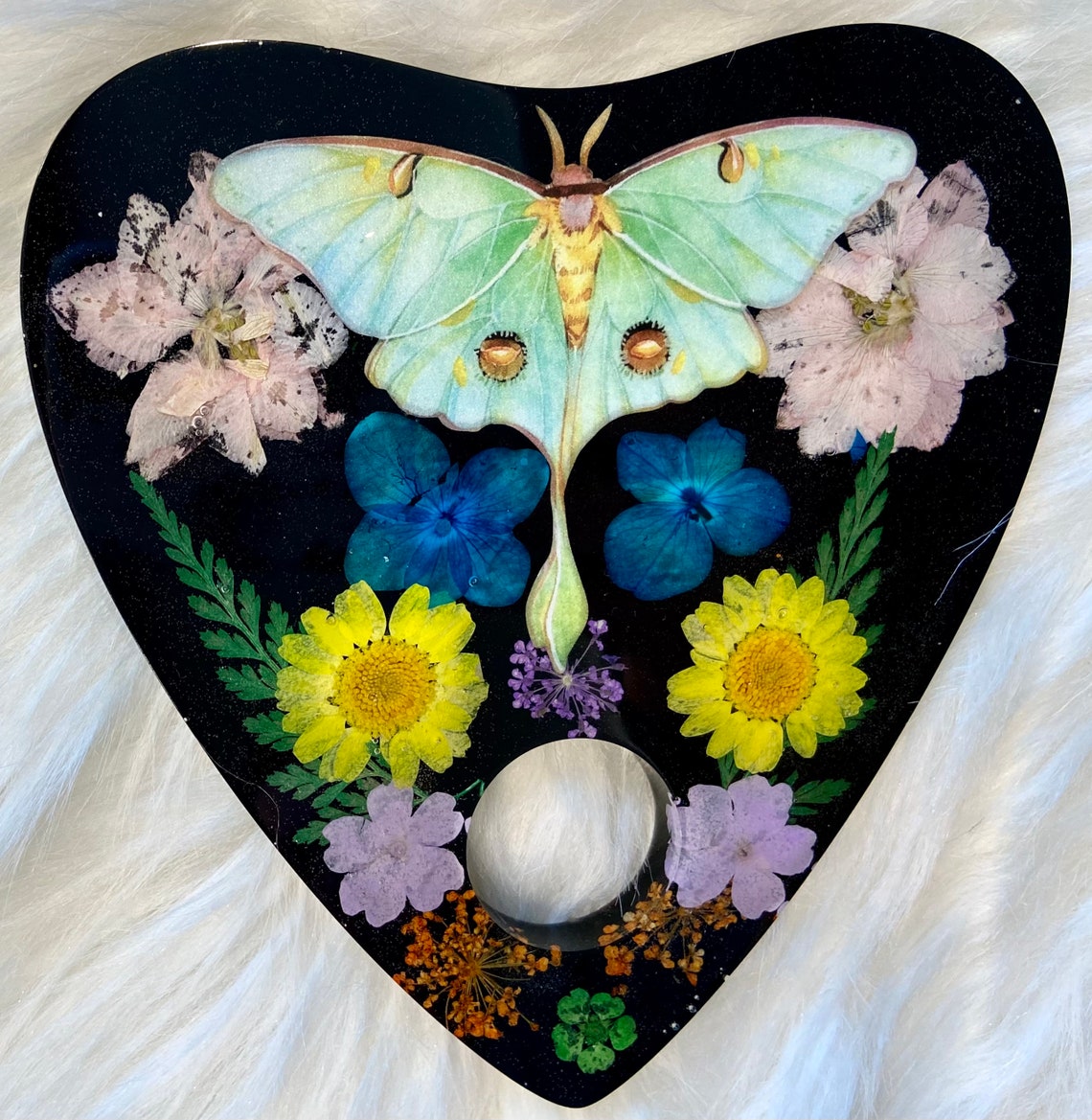 Luna Moth Chinese Moon Moth Giant Spirit Board Planchette | Etsy