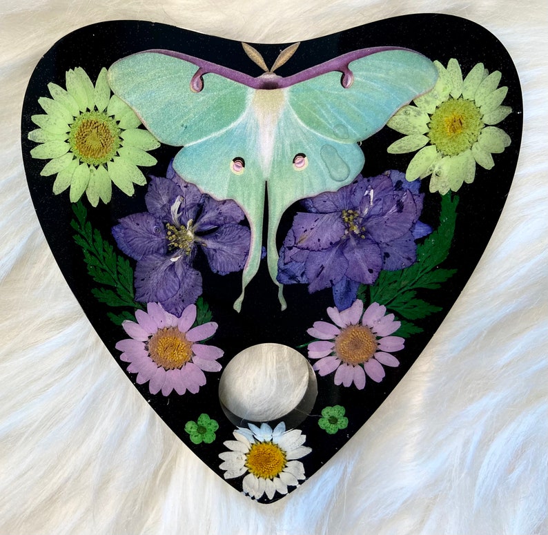 Luna Moth Chinese Moon Moth Giant Spirit Board Planchette | Etsy