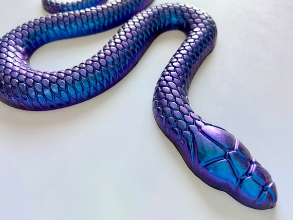 Colorful Snake Scales